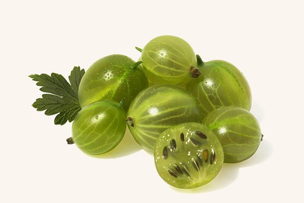 Amla Yağı Nedir-Amla Yağının Faydaları » Alışkanlık
